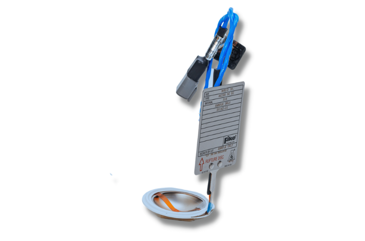 Hygienic Rupture Discs for Food & Bev, Pharma | Fike